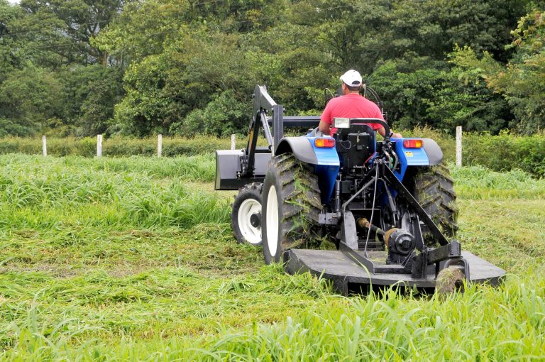 What Is Bush Hogging? How It Works - Valor