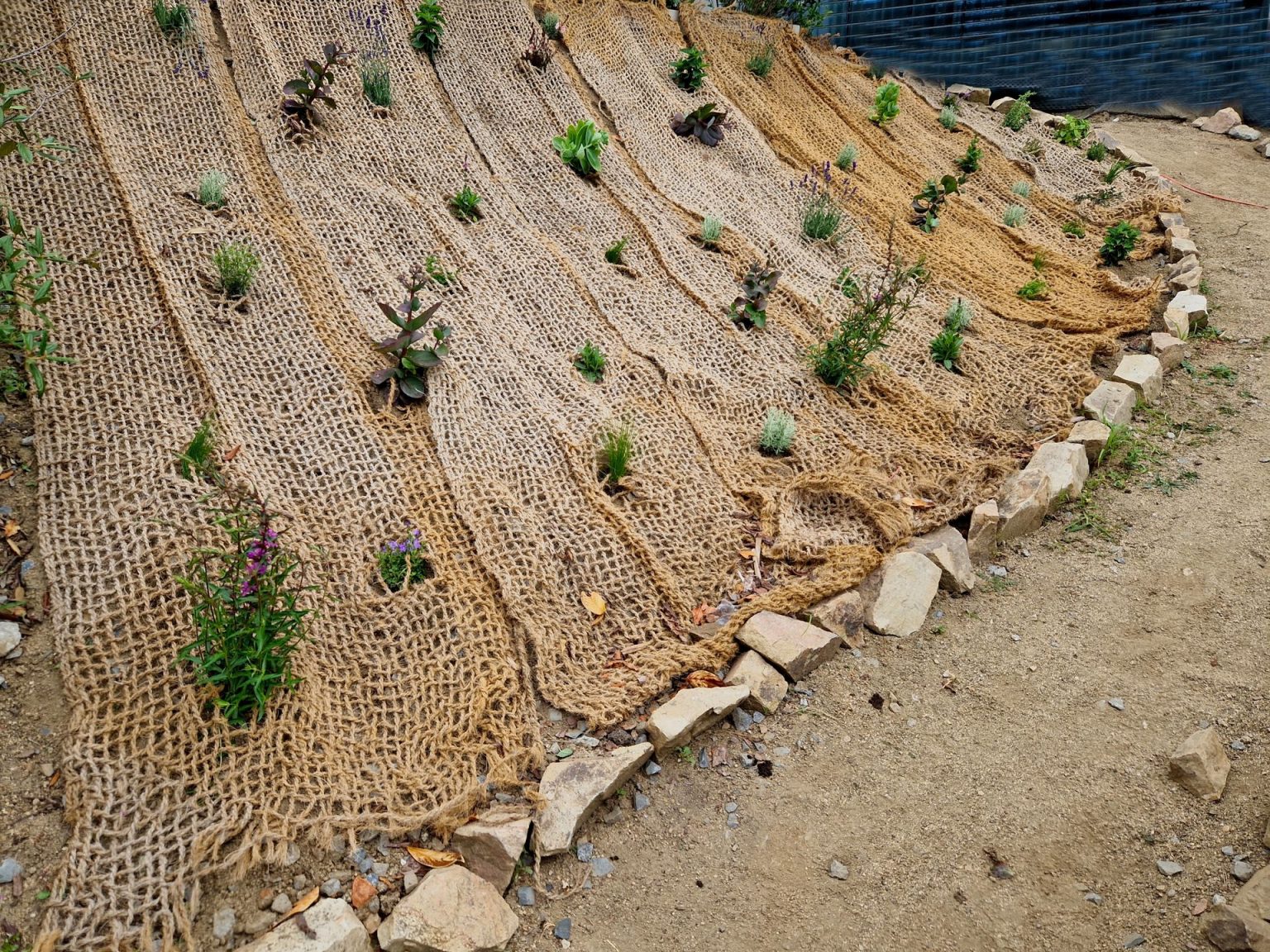 Type of Soil Erosion & Soil Erosion Prevention Strategies - Valor